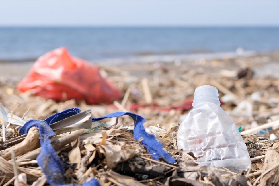 Tackling Plastic Pollution: How the Global Plastics Treaty Could Change ...